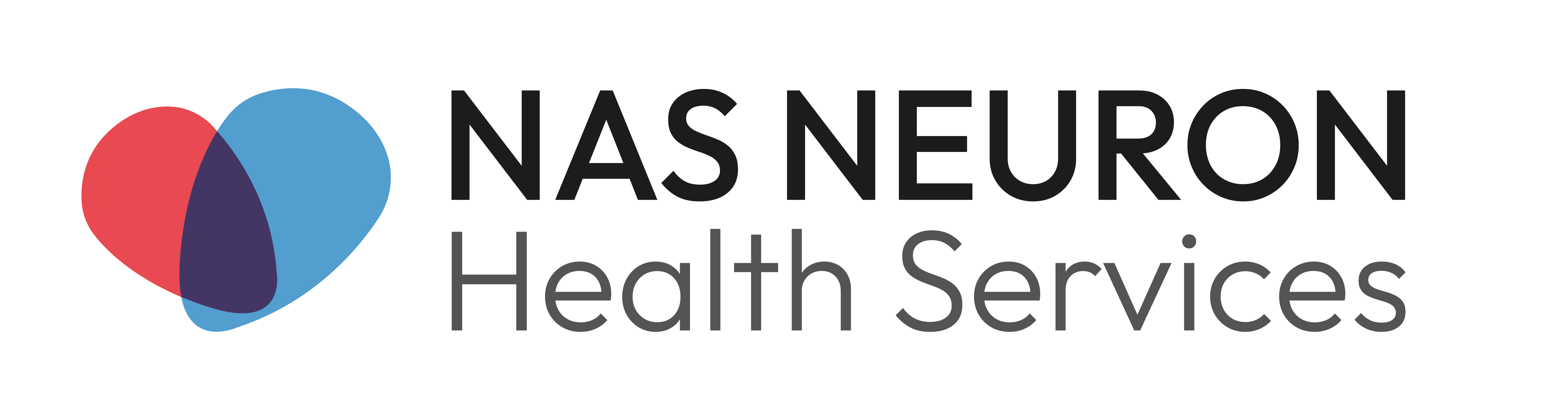 nSecure Login - NNHS Authentication Service